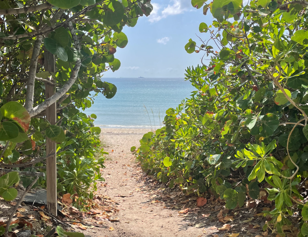 Legend of the Boynton Caves – Boynton Beach Historical Society