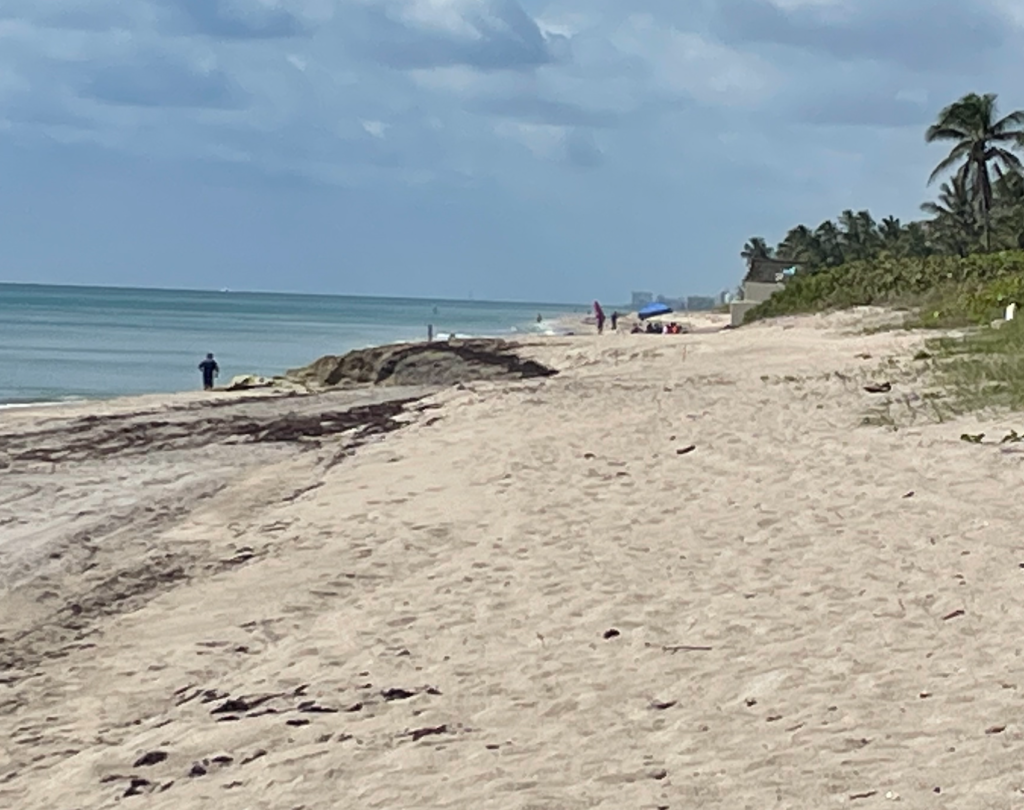 Legend of the Boynton Caves – Boynton Beach Historical Society