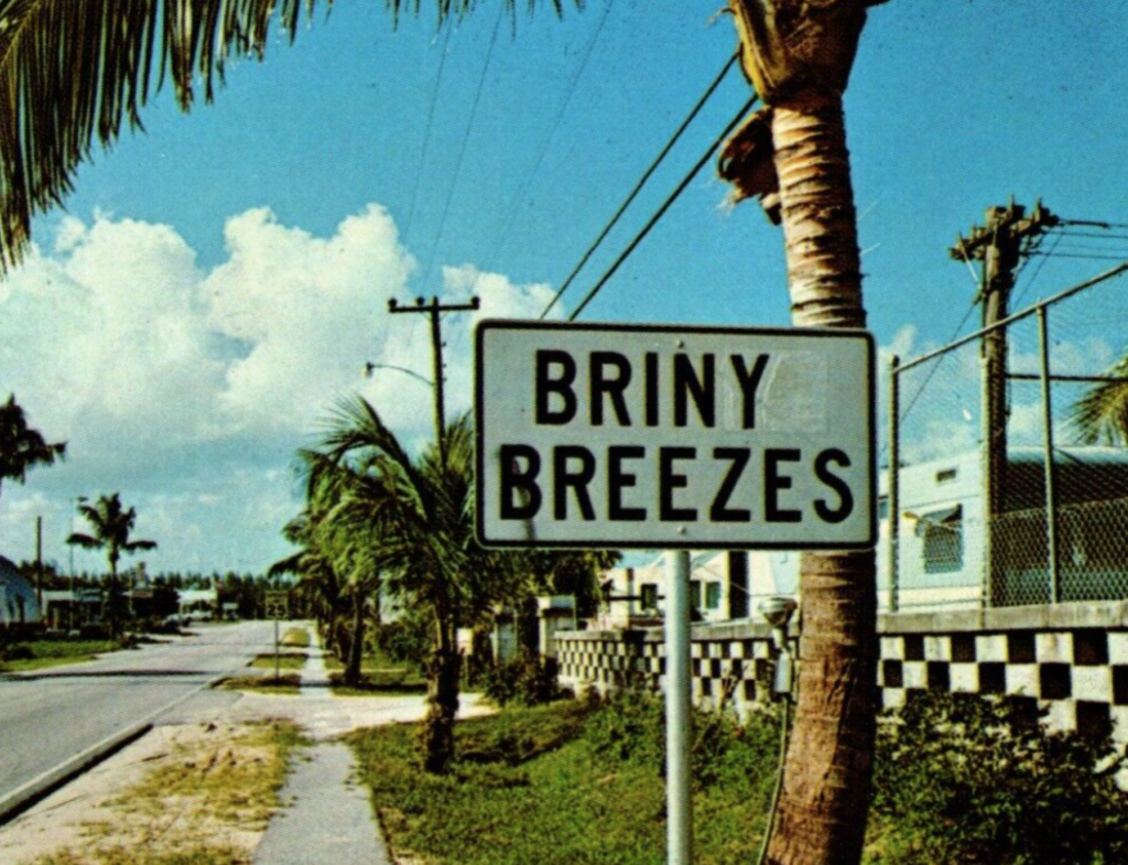 Legend of the Boynton Caves – Boynton Beach Historical Society